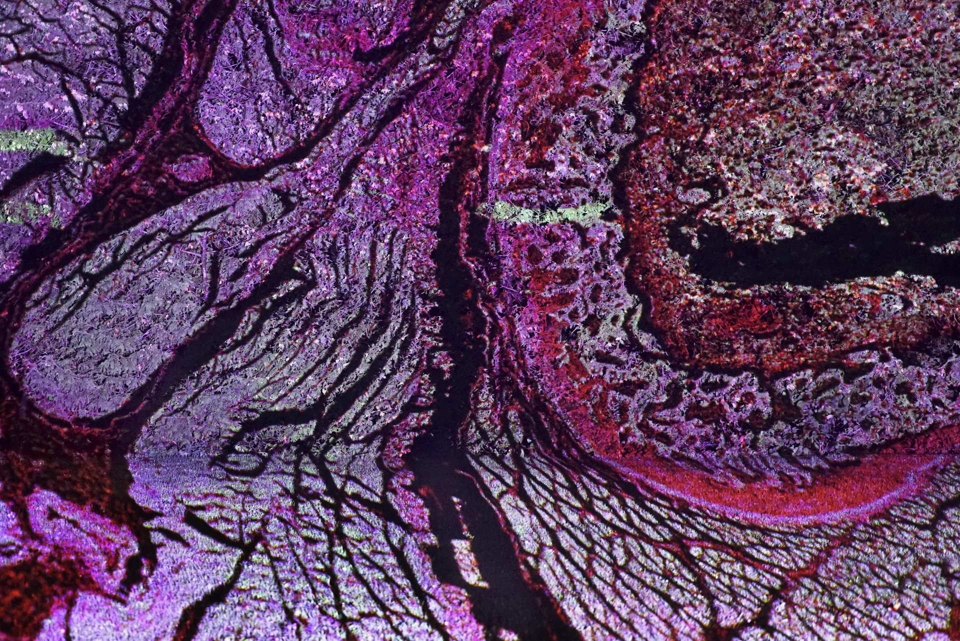 Science Meets Projection Art in The Darkness | Epson CA