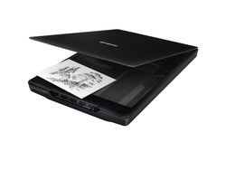 Perfection V19 II | Epson US