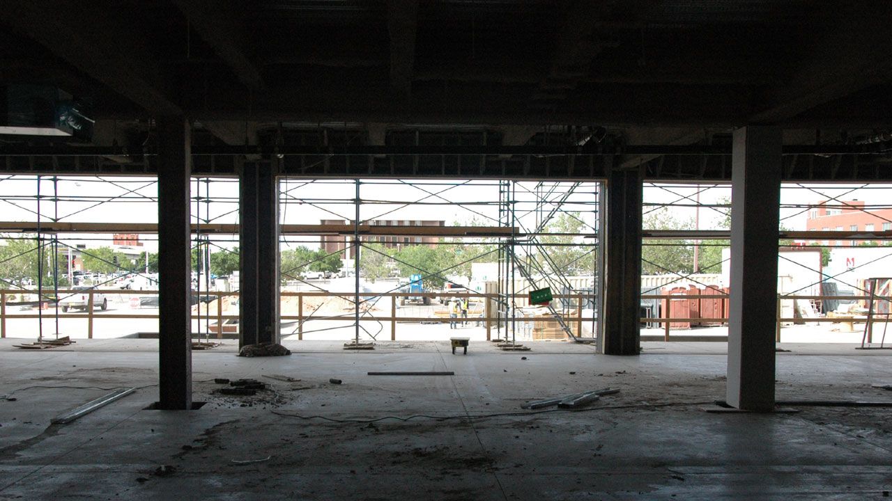 A Lobo Rainforest in the desert | UNM UCAM Newsroom