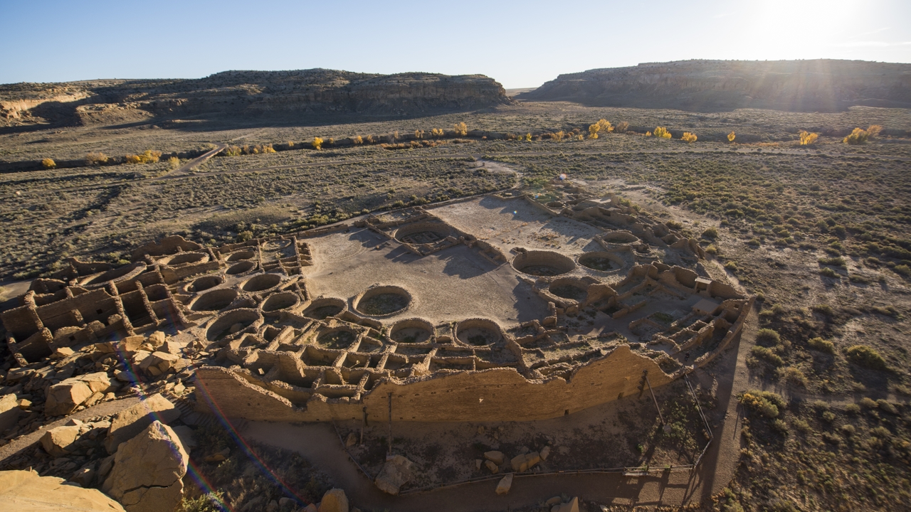UNM archaeologist Patricia Crown named 2022 AAAS Fellow | UNM UCAM Newsroom