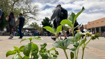 Explore green living at UNM Sustainability Expo | UNM UCAM Newsroom