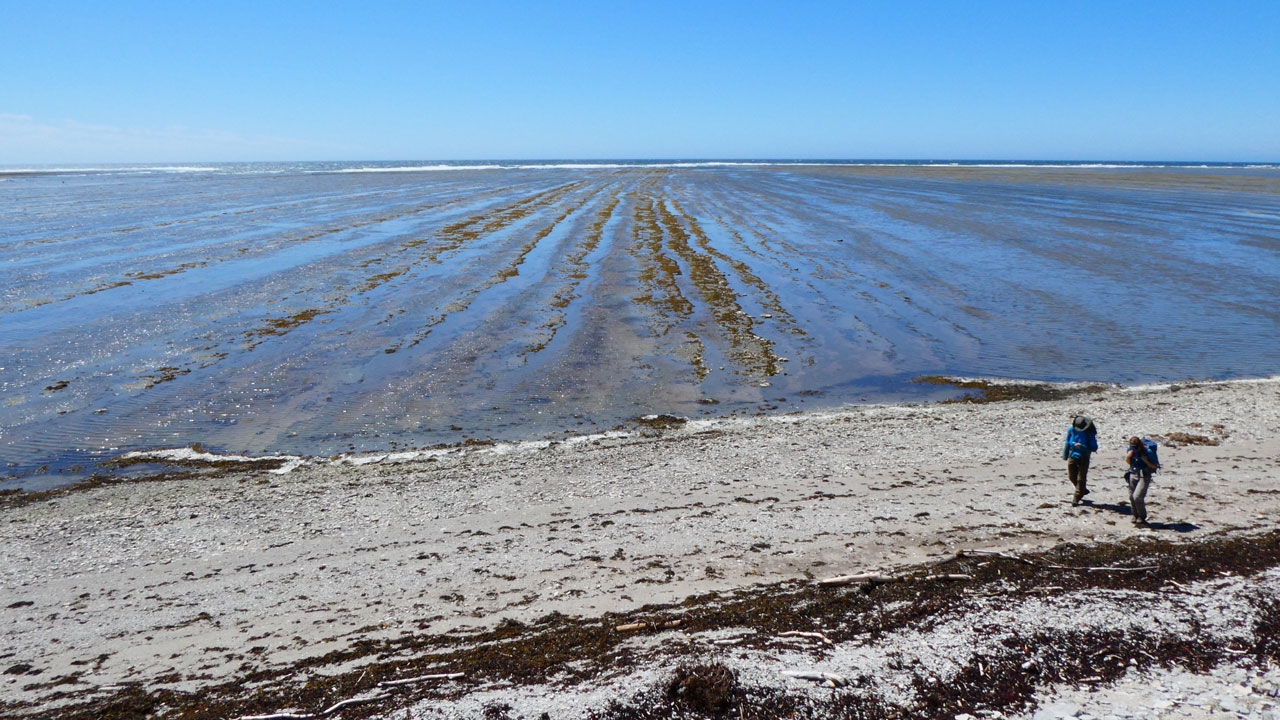 UNM scientists find widespread ocean anoxia as cause for past mass ...