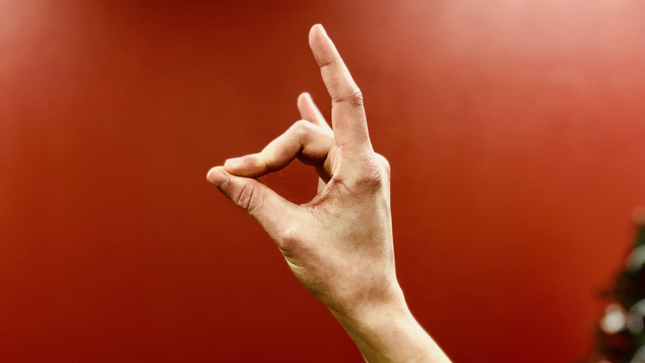 Gender identity and personal pronouns now supported in LoboWeb | UNM ...