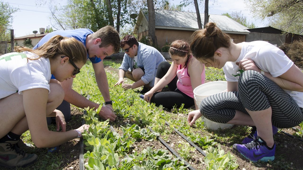 ASUNM’s Community Experience looking for Spring Storm volunteers | UNM ...