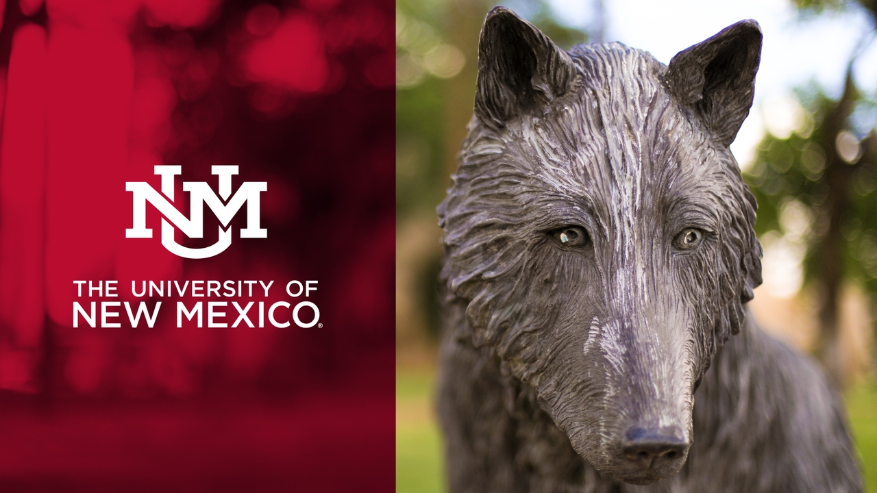 UNM hosts public forum to discuss preventing and addressing sexual ...