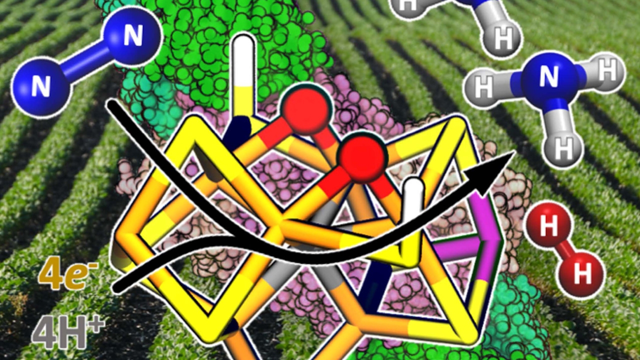 UNM's Department of Chemistry and Chemical Biology presents the 12th ...