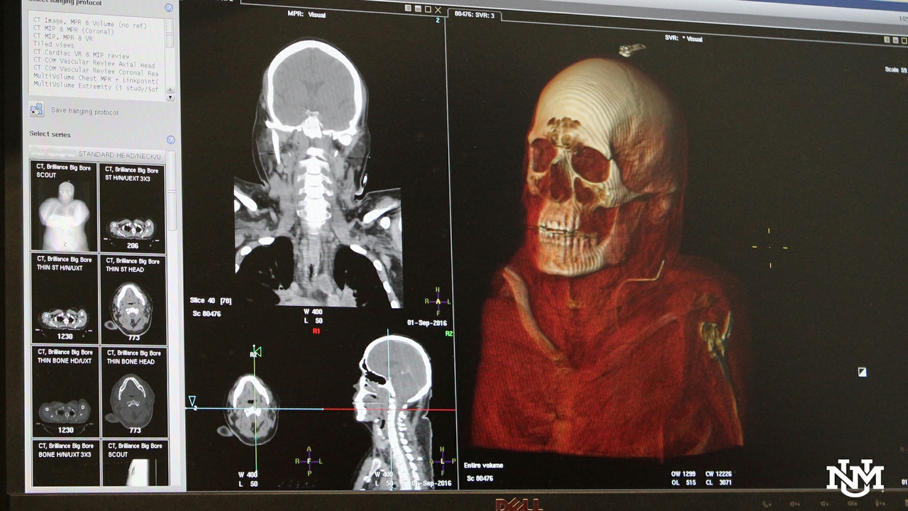 New medical investigator database website goes live | UNM UCAM Newsroom