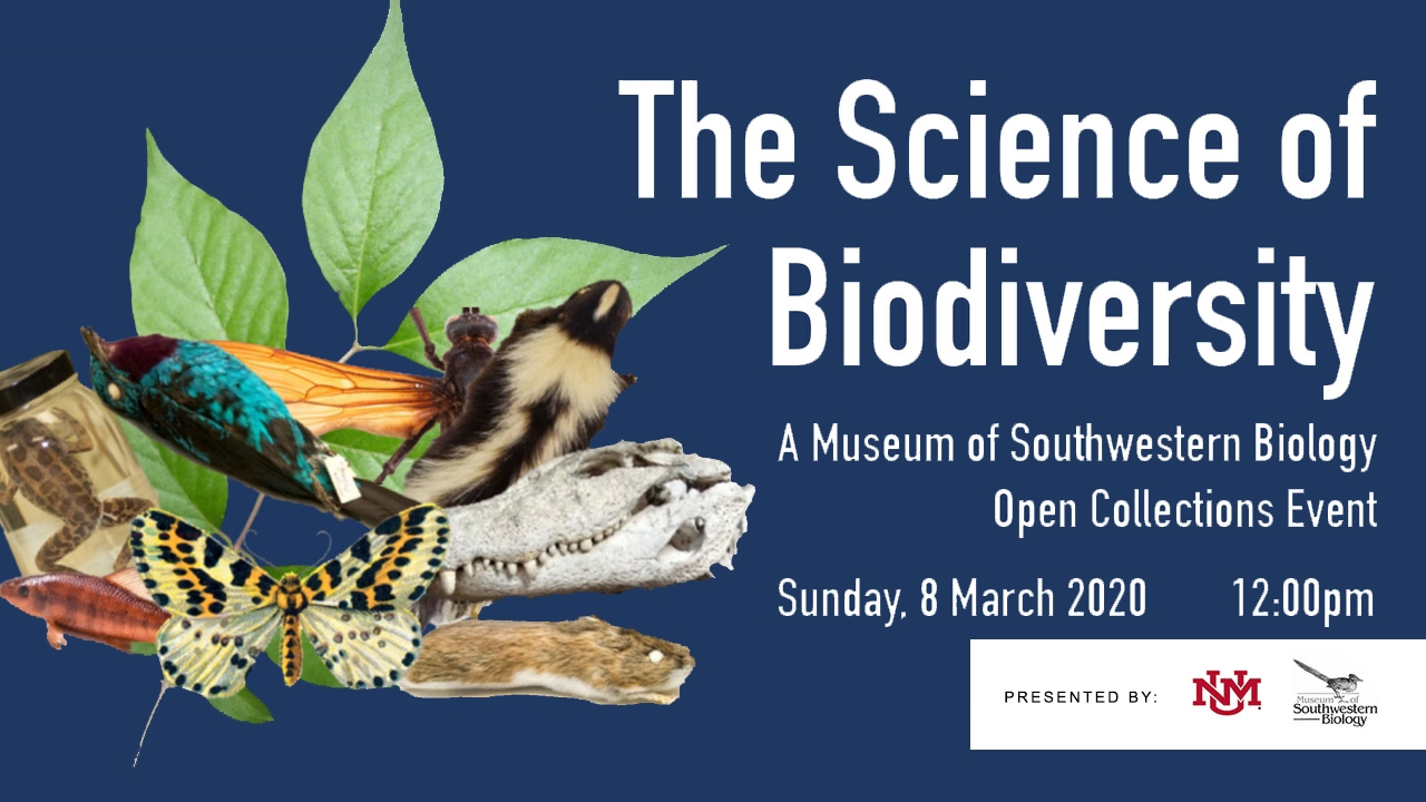 UNM’s Museum of Southwestern Biology hosts Open Collections Event on ...