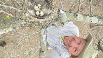 New research shows climate change could lead to Mojave bird extinction ...