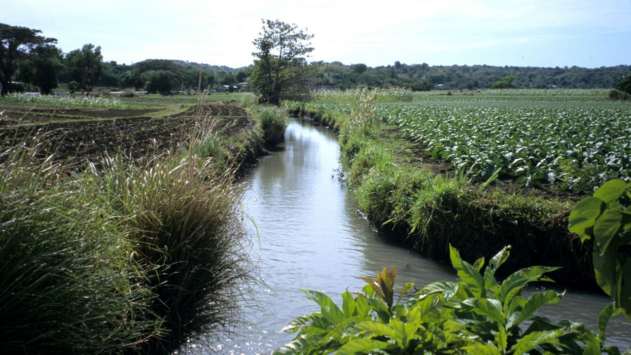 UNM's Rivera publishes book about Filipino irrigation system | UNM UCAM ...