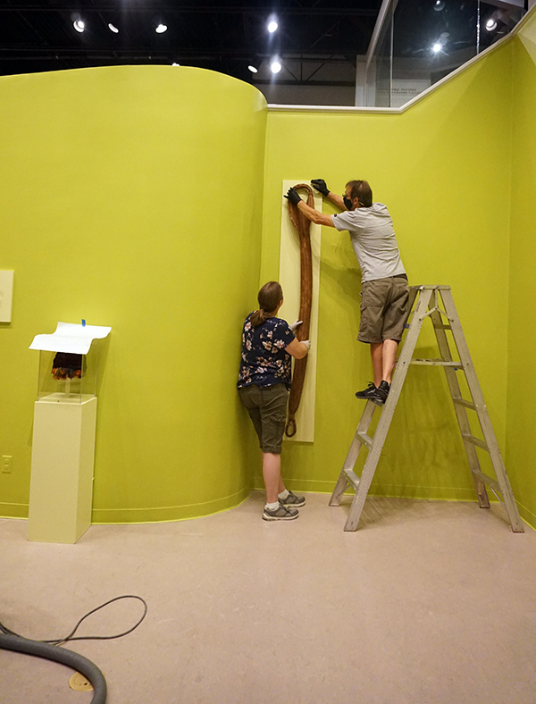 Maxwell Museum of Anthropology reopens | UNM UCAM Newsroom