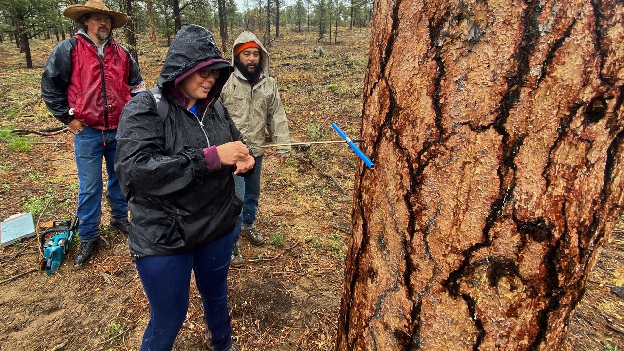 Program focuses on natural resources management at UNM-Taos | UNM UCAM ...