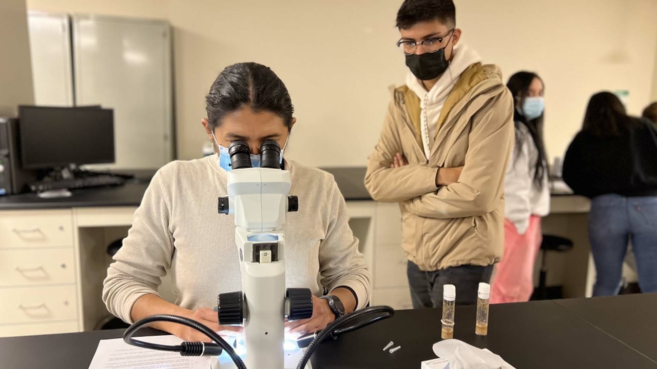 Neuroscience professor receives Young Investigator award to support ...