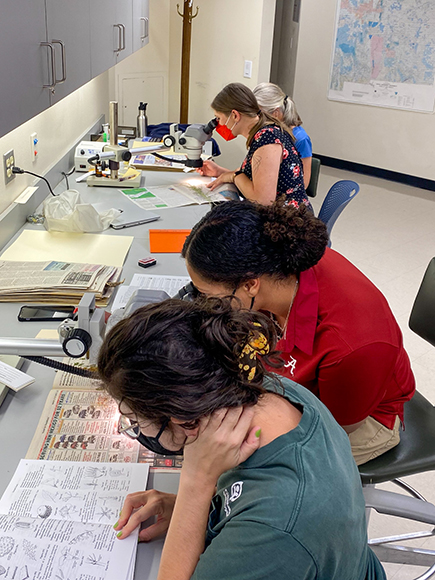UNM Herbarium in Museum of Southwestern Biology hosts Plant ...