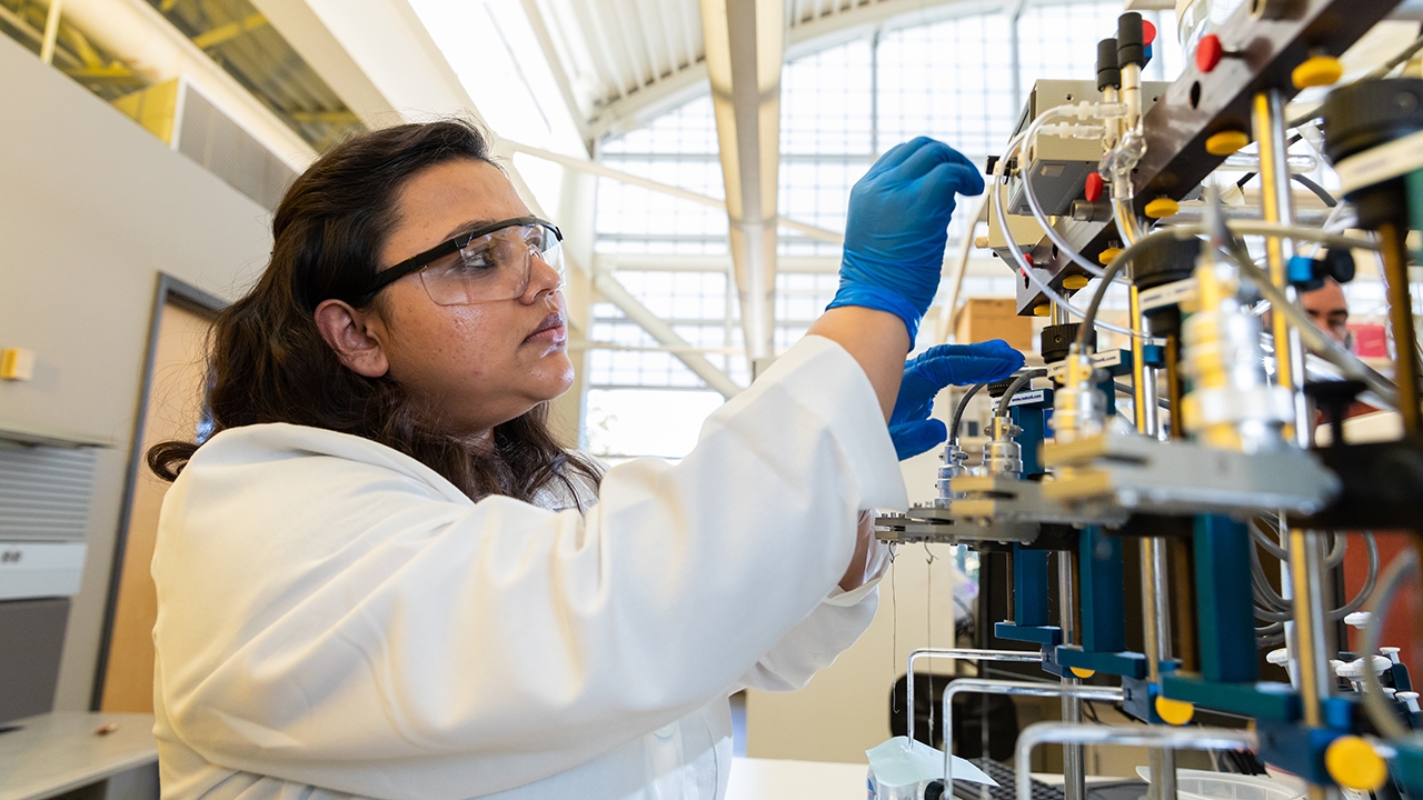 Early career Latinas in STEM continue to face challenges in academia ...