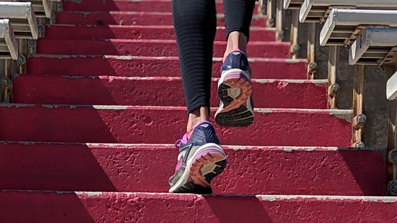 6th Annual Stadium Stair Challenge to Benefit Agora Crisis Center | UNM ...