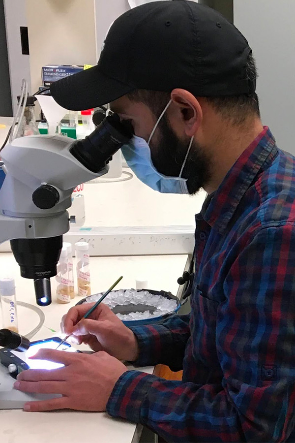 Neuroscience lab research looks into factors in sleep behavior | UNM ...