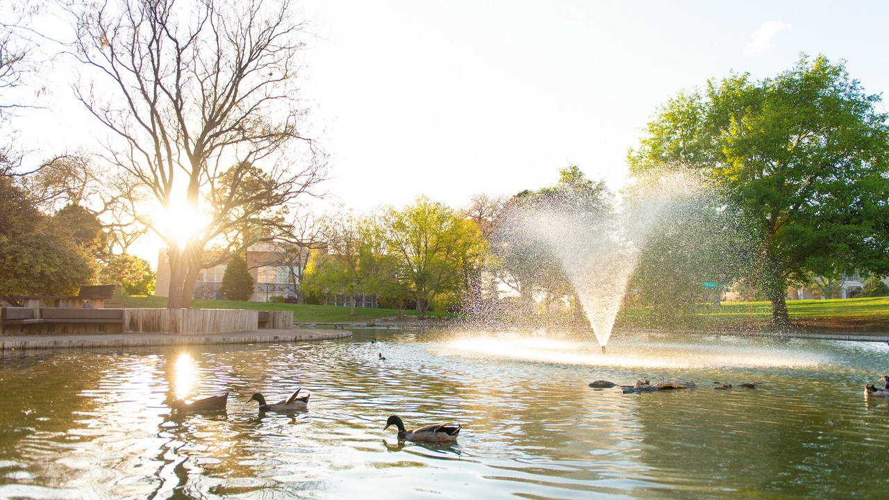 UNM Duck Pond a favorite place to meet, study, relax | UNM UCAM Newsroom