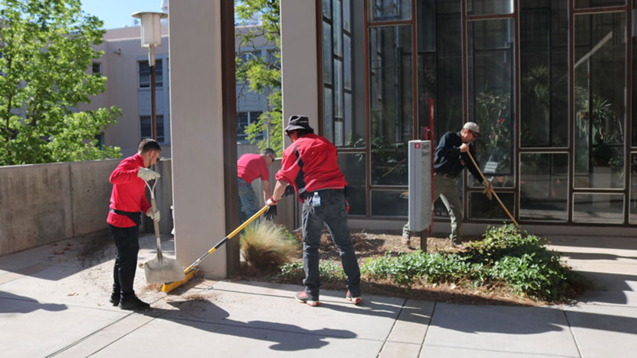 Embracing cross-collaborative volunteerism: A successful staff Campus ...