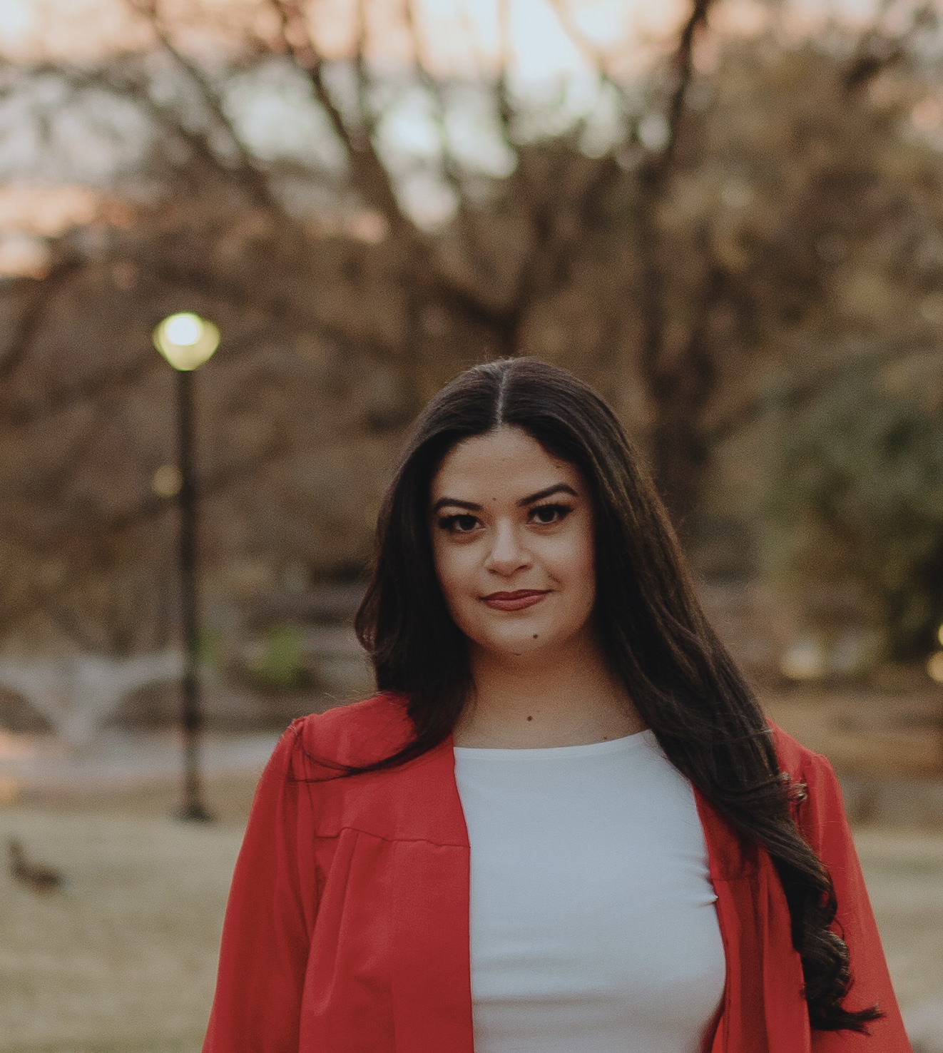 Two engineering students honored with National Science Foundation ...