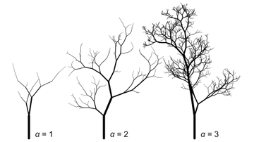 Seeing trees through fractals: new research explores how we perceive ...