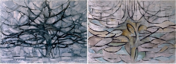 Seeing trees through fractals: new research explores how we perceive ...