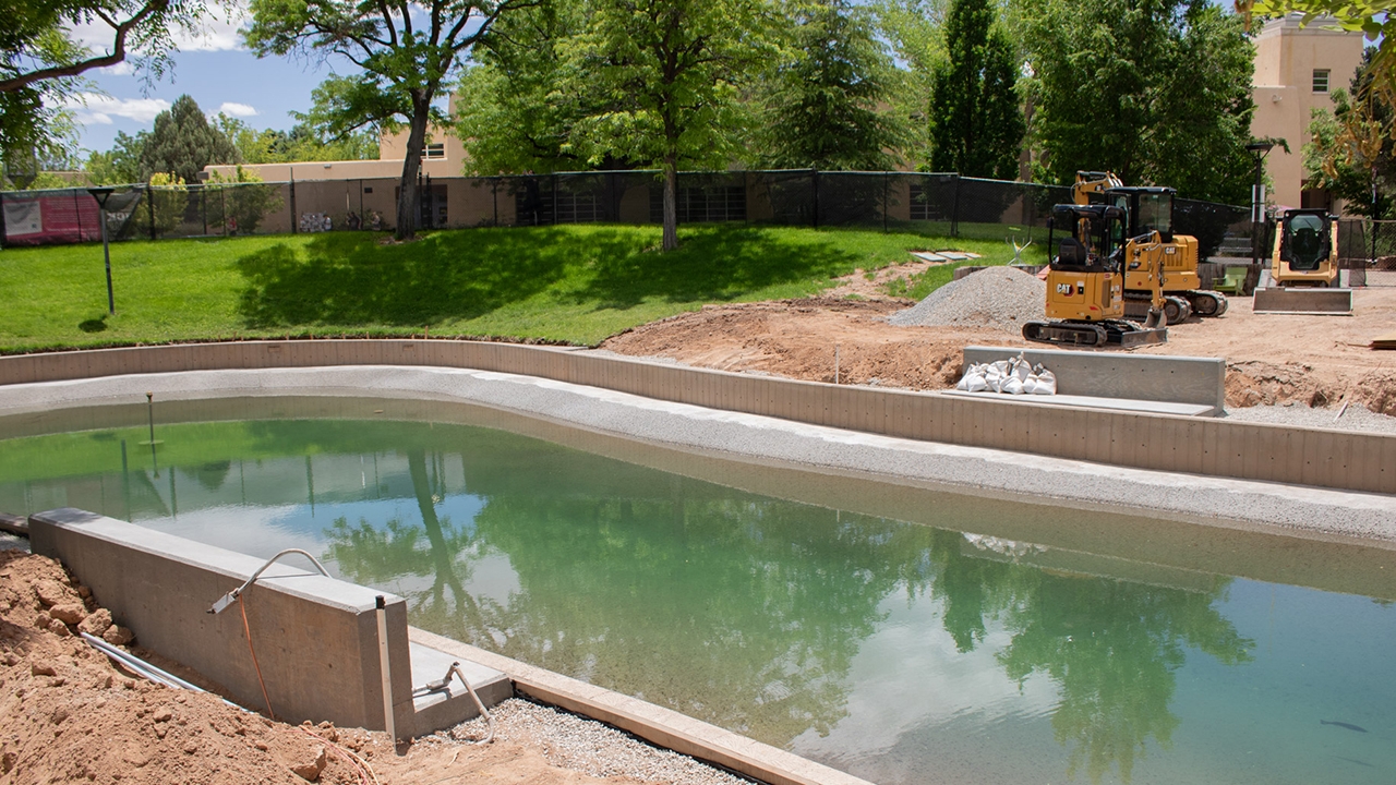 The UNM Duck Pond returns: Beloved landmark to reopen in August | UNM ...