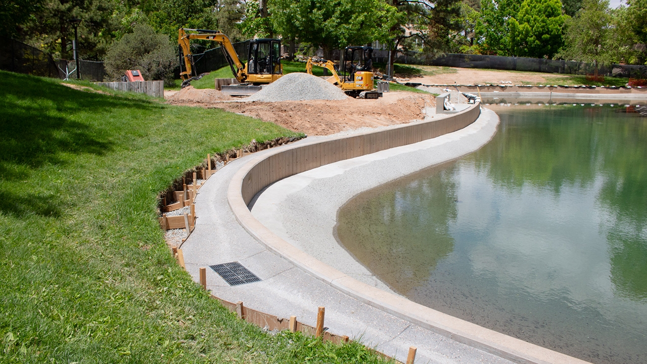 The UNM Duck Pond returns: Beloved landmark to reopen in August | UNM ...
