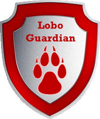 'Lobos: United for Safety' series begins | UNM UCAM Newsroom