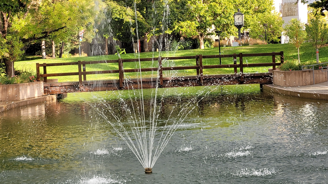 UNM's Duck Pond reopens to campus community | UNM UCAM Newsroom