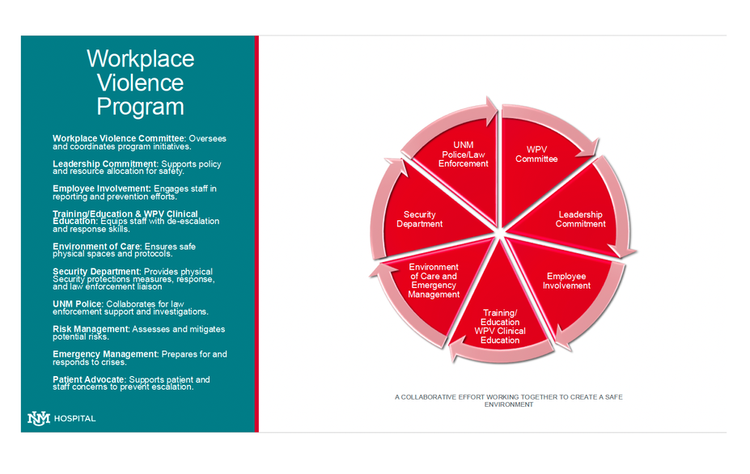 Taking care of health care workers: Security and workplace violence ...