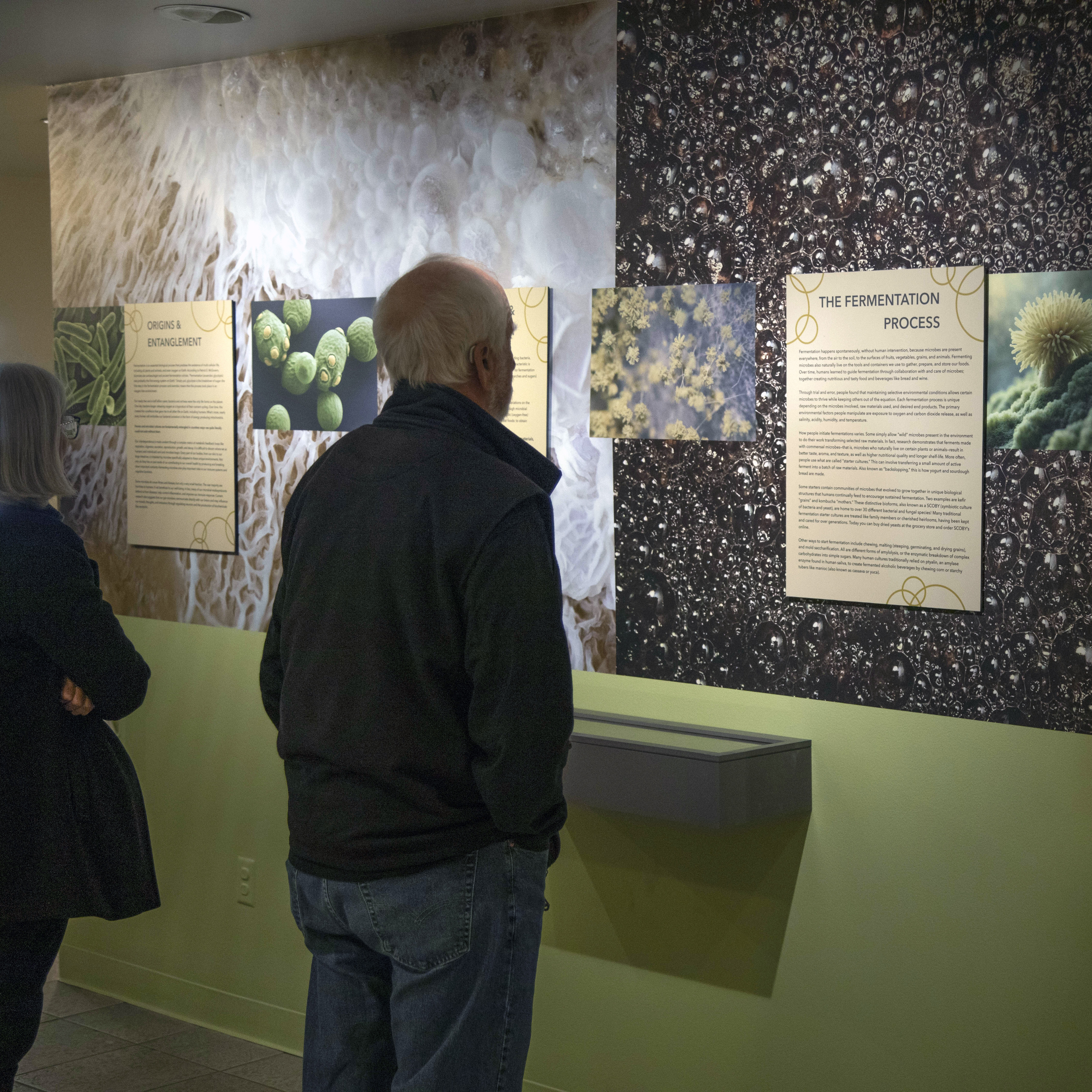 UNM Maxwell Museum hosts panel on fermentation and health | UNM UCAM ...