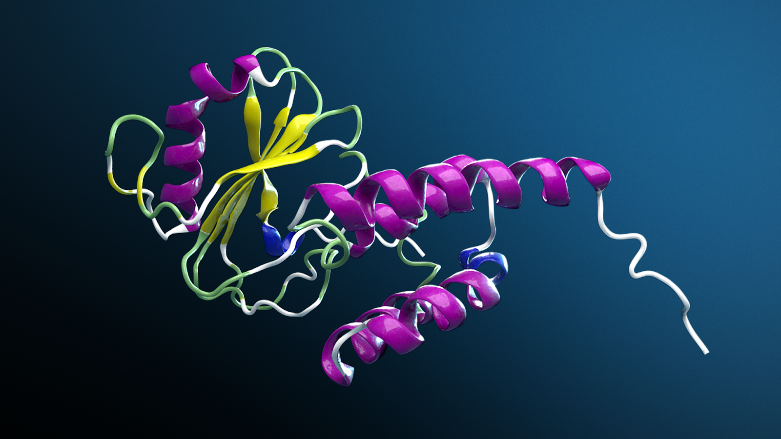 NVIDIA Opens BioNeMo to Scale Digital Biology for Global Biopharma and ...