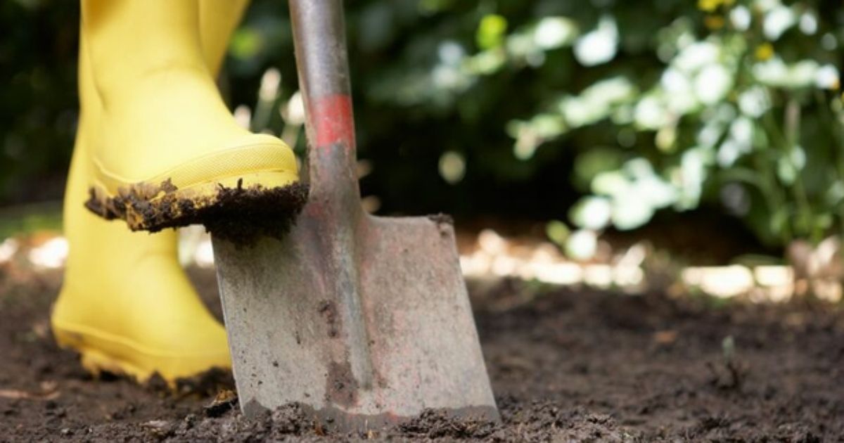 Ready to dig? Duke Energy, Piedmont Natural Gas remind residents to ...