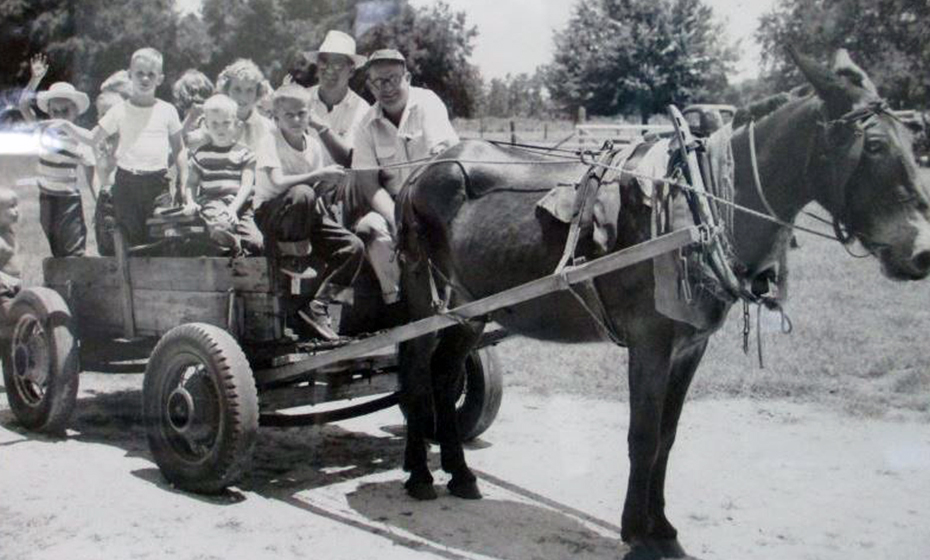 Crystal River Energy Complex has evolved from cattle to megawatts ...