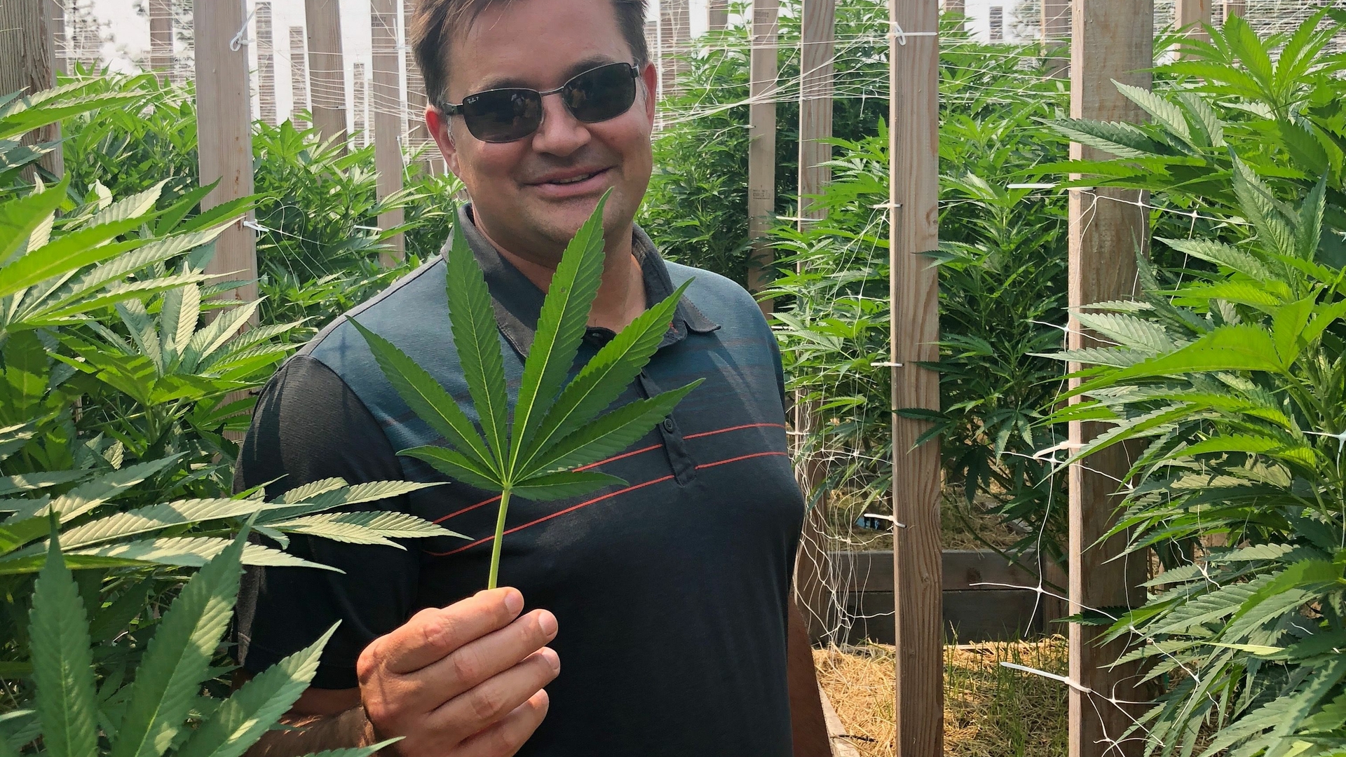 NewMediaWire | Grown Rogue Brand Fills an Important Marketing Void with ...