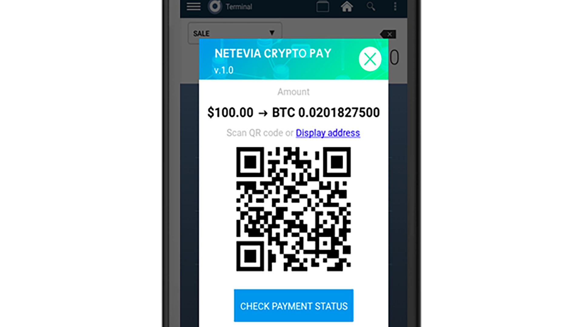 NewMediaWire | Net Element Launches Multi-Channel Blockchain-Powered ...