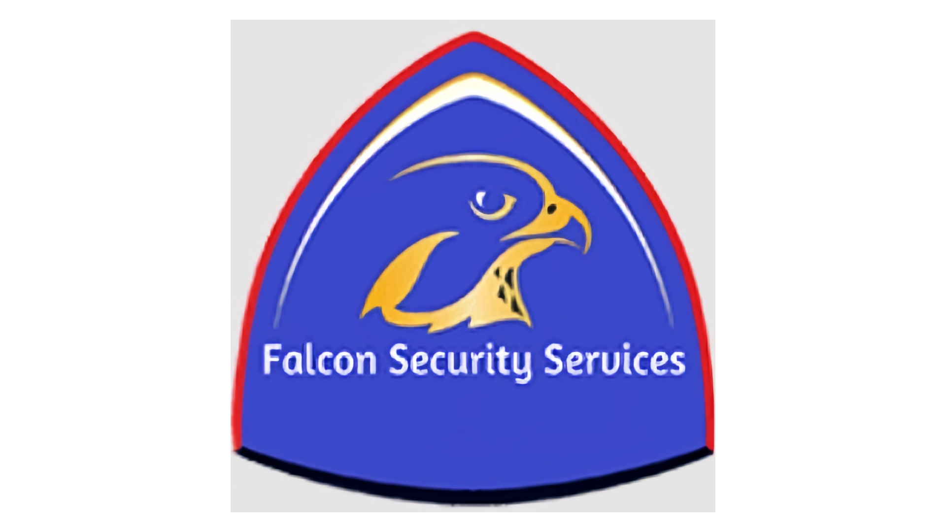NewMediaWire | Falcon Security Services, One of the Top Rated Companies ...
