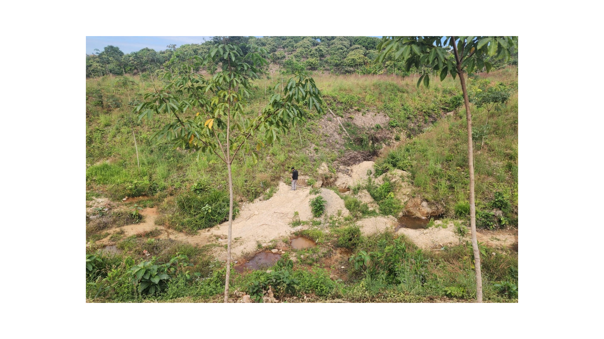 NewMediaWire | Angkor Resources Advances Exploration On CZ Gold and ...