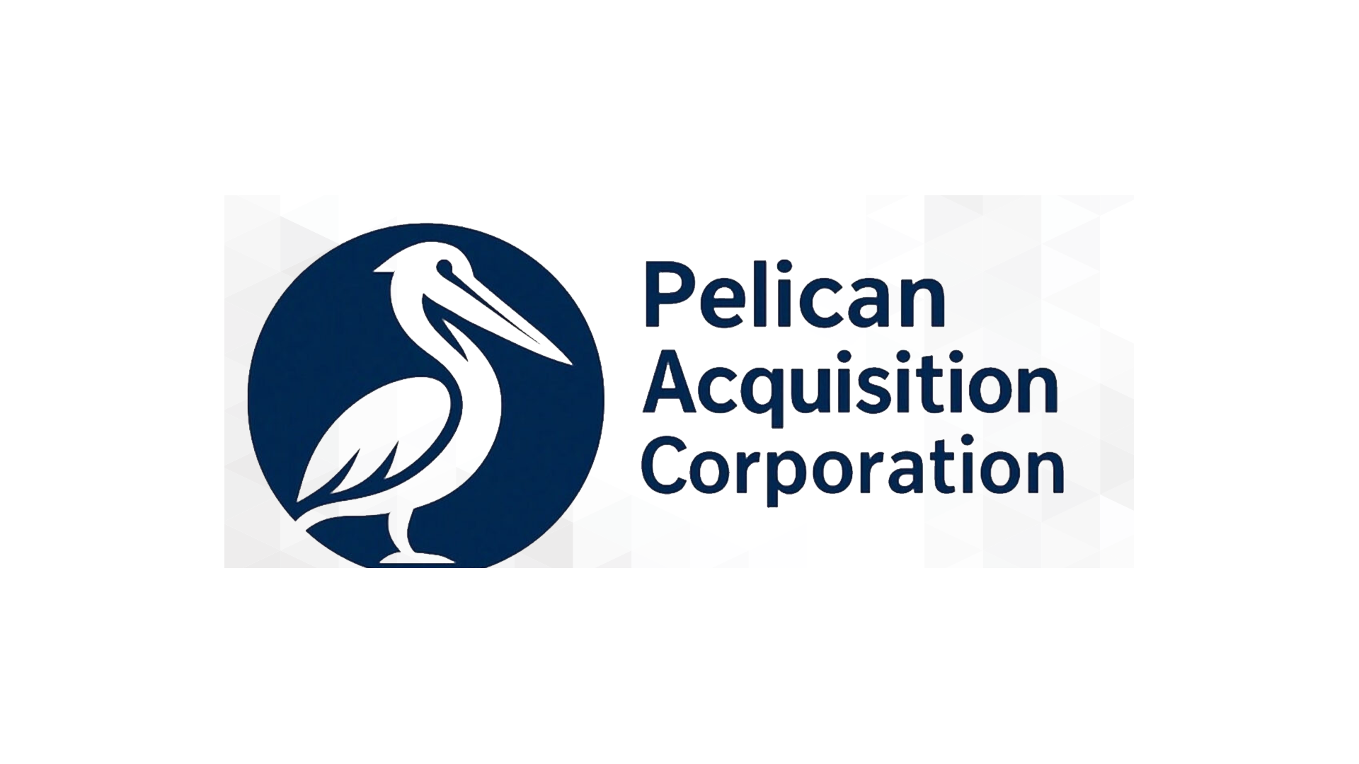 NewMediaWire | Pelican Acquisition Corp. (PELI) Arctic Project Targets ...
