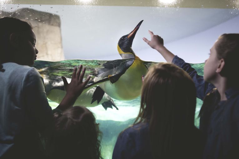 KANSAS CITY ZOO AND AQUARIUM | Visit KC