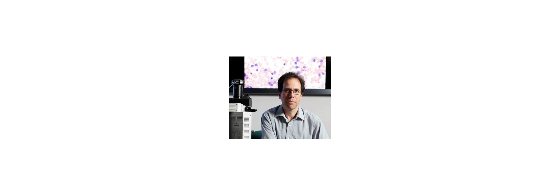 Lymphoma: Looking for Clues in the Immune System | University of ...