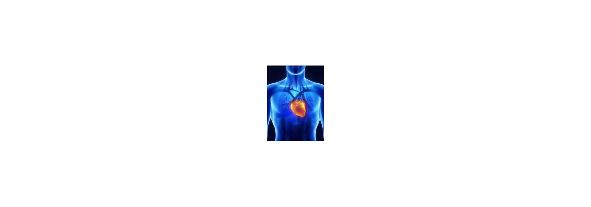 Scientists Identify Gene that Controls Clotting | University of ...