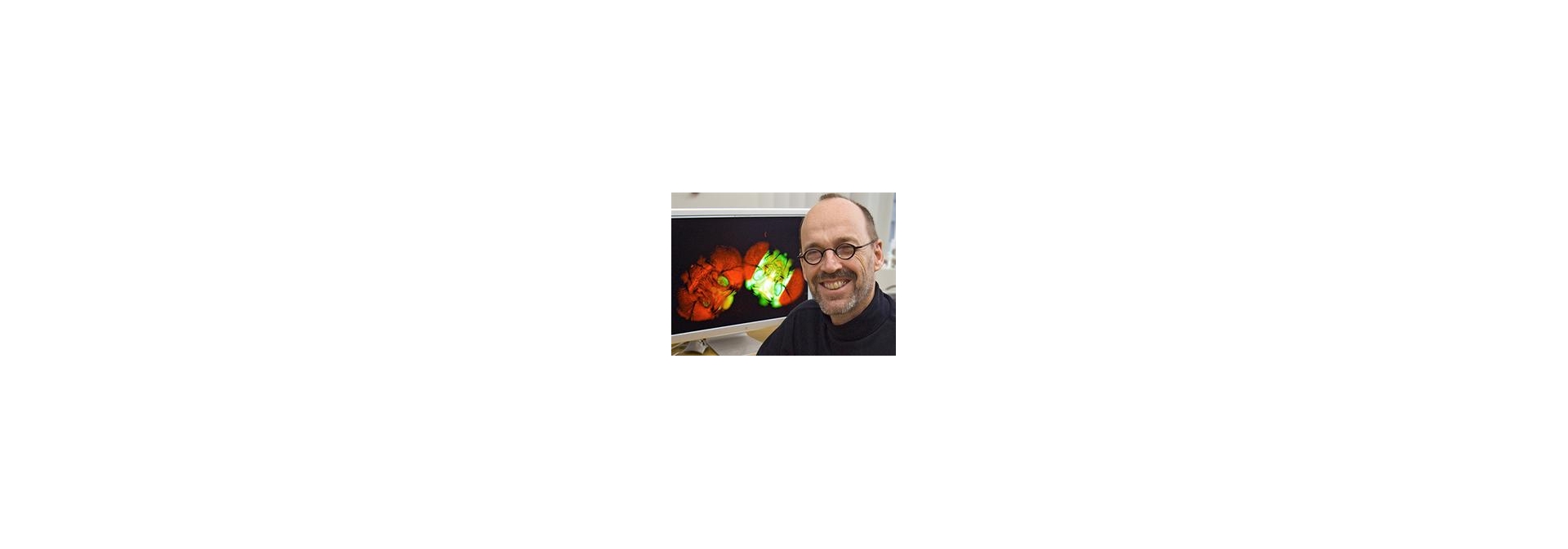 Dirk Bohmann to Lead Basic Science Research at URMC | University of ...