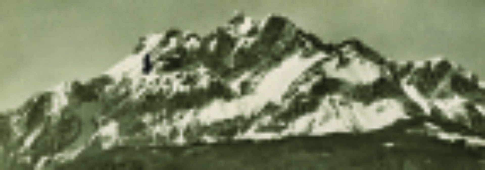 Photo | NURsing_2018v1_PickingPeas_Original_Mountain | University of ...