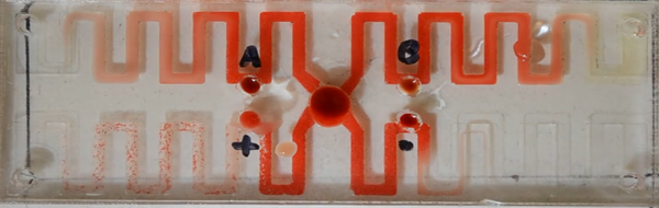 Collaborators from URMC, RIT Design a Point of Care, ABO Blood Typing ...