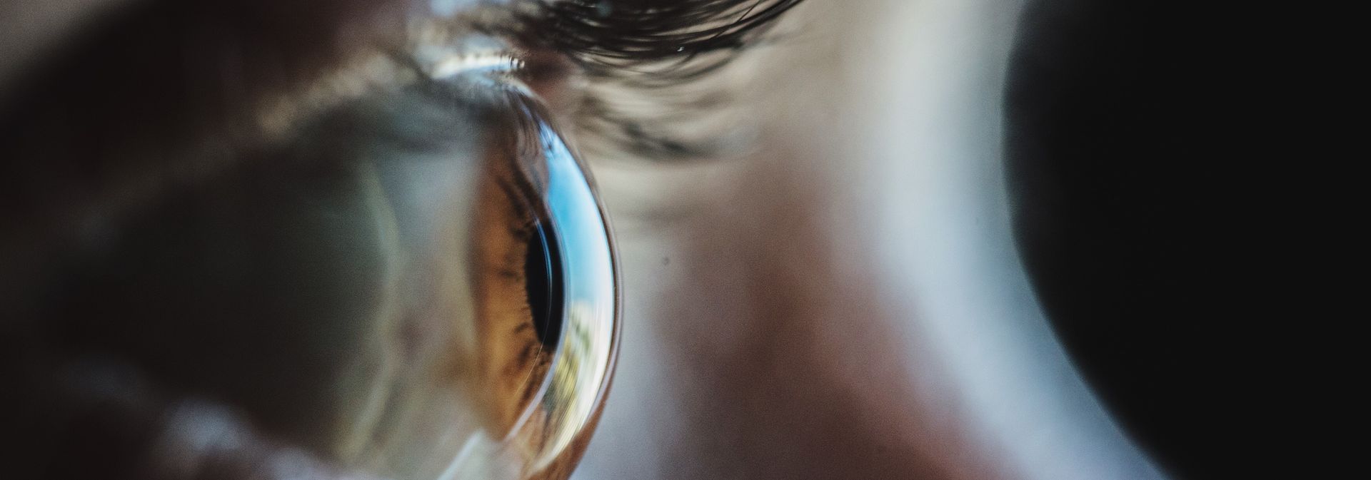 Small, involuntary eye movements help us see a stable world ...