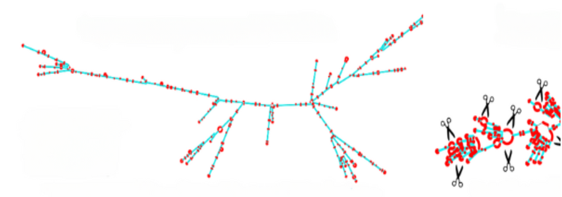A Search Engine for mRNA: Algorithm Identifies Optimal Sequences to ...