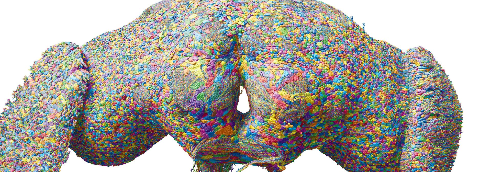 A revolutionary map of the fly brain could change how we study our ...