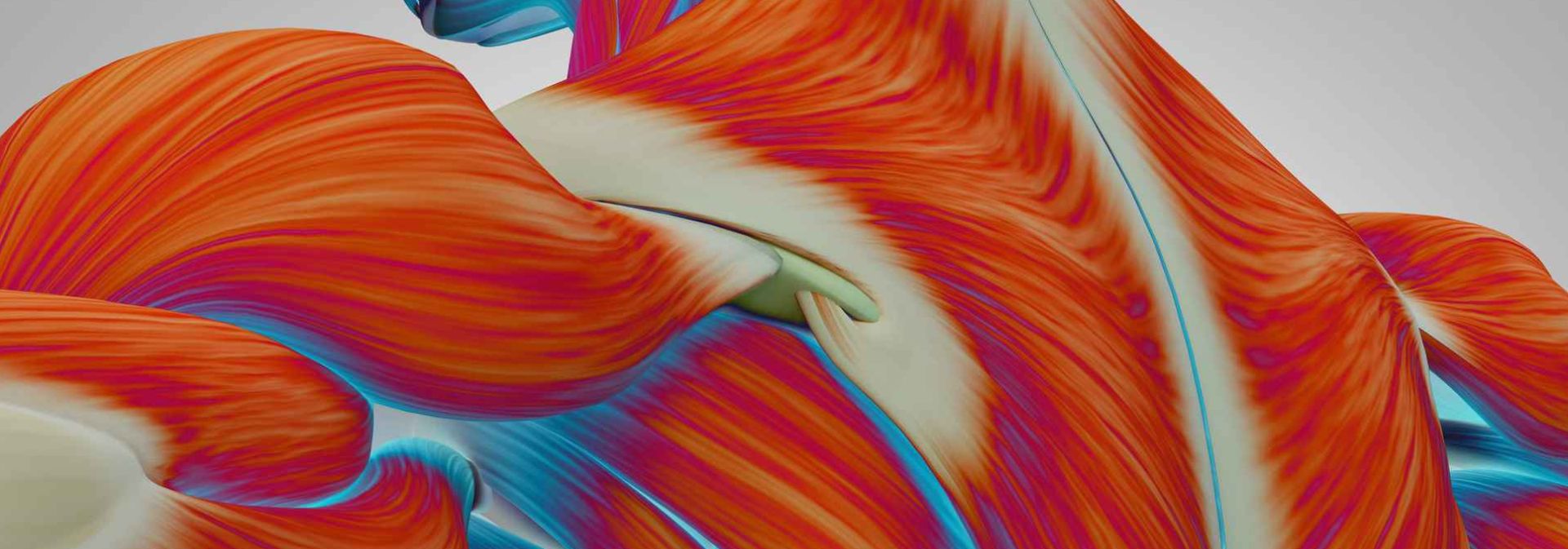 Study Shows Hormone Combination Improved Strength and Function in FSHD ...